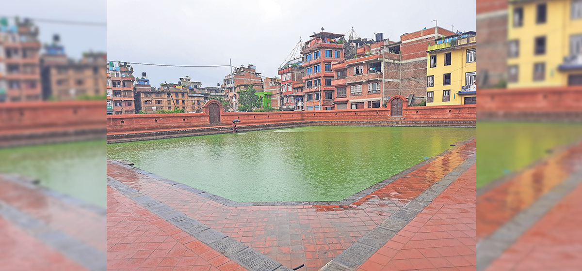 पुराना पोखरी जोगाउँदै स्थानीय तह | Nagarik News