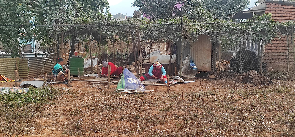 पराल तथा गुदका गुन्द्री बुन्ने चलन हराउँदै | Nagarik News